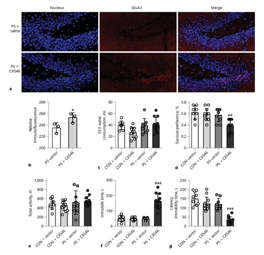 N-Cadherin Regulates GluA1-Mediated Depressive-Like Behavior in ...
