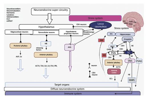 Extracellular Vesicles and the Stress System | Neuroendocrinology ...