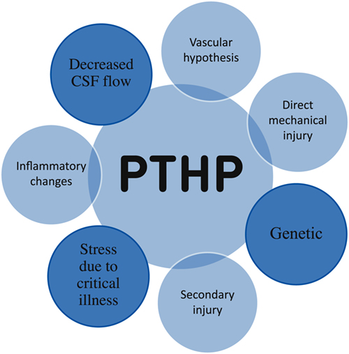 Post-Traumatic Hypopituitarism: A Neglected Consequence of Traumatic ...