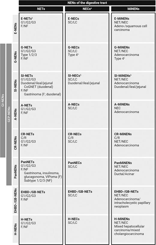 Relation between WHO Classification and Location- and Functionality ...