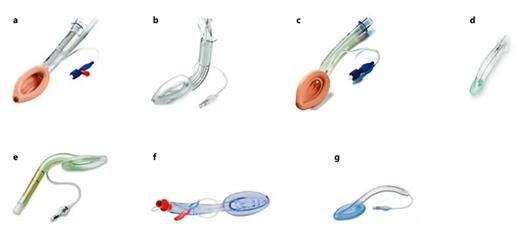 The Laryngeal Mask Airway and Its Use in Neonatal Resuscitation: A ...