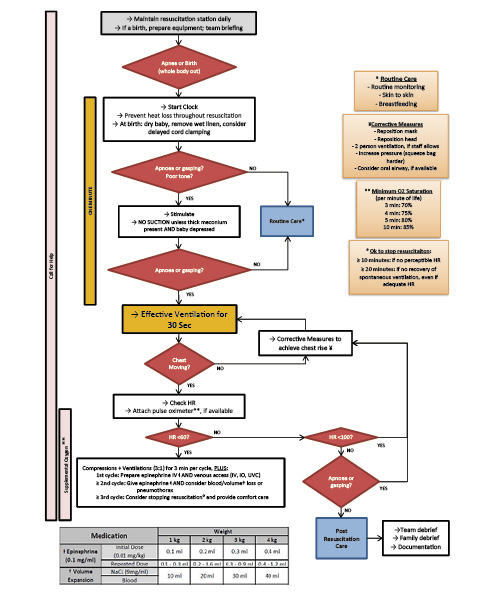 When Helping Babies Breathe Is Not Enough: Designing a Novel, Mid-Level ...
