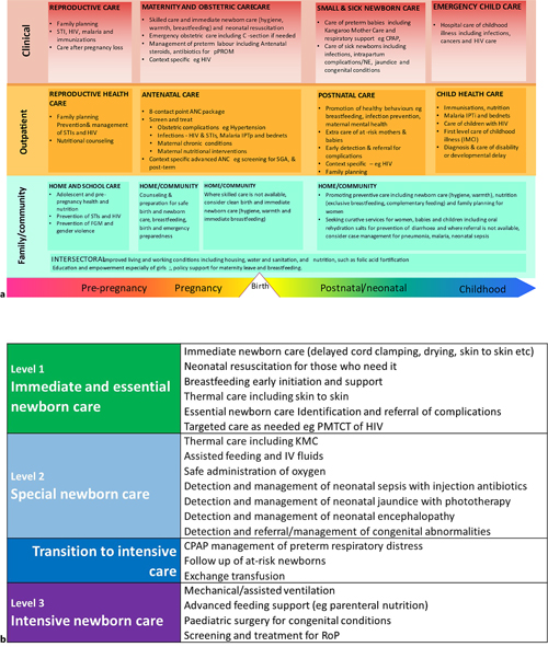 Ending Preventable Neonatal Deaths: Multicountry Evidence to Inform ...
