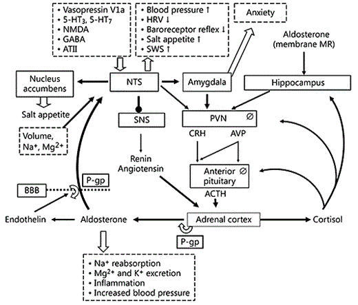 Genetic, Molecular and Clinical Determinants for the Involvement of ...