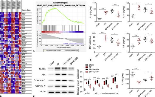 Inhibition of Galectin-3 in a Rat Model of Epilepsy and Kainate ...