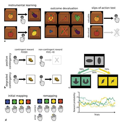 Goal-Directed and Habitual Control in Human Substance Use: State of the ...