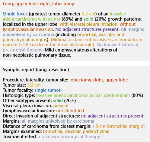 The Oncologist’s Guide to Synoptic Reporting: A Primer | Oncology ...