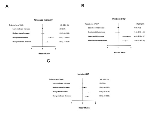 Trajectories of Waist-to-Hip Ratio and Adverse Outcomes in Heart ...