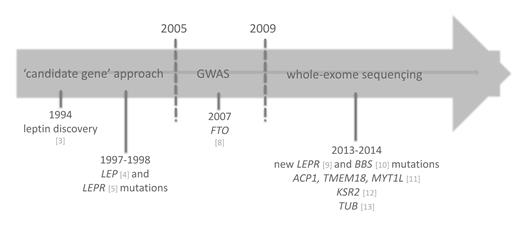 Rare Genetic Forms of Obesity: Clinical Approach and Current Treatments ...