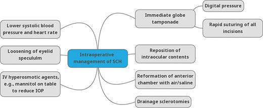 Suprachoroidal Hemorrhage | Ophthalmologica | Karger Publishers