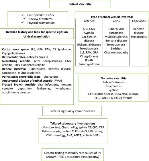 Diagnostic Workup of Retinal Vasculitis: An Algorithmic Approach | Ophthalmologica | Karger ...