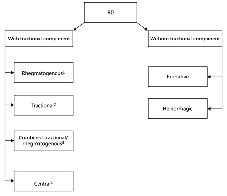 Rhegmatogenous Retinal Detachment: A Reappraisal of Its Pathophysiology ...