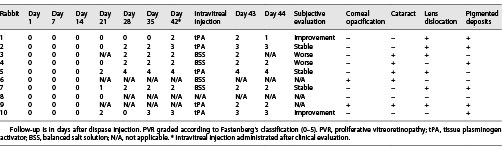 Intravitreal Tissue Plasminogen Activator Injection for the Treatment ...
