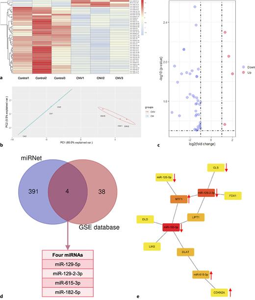 Identification of Cuproptosis-Related circRNA-miRNA-mRNA Network in ...