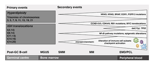 Multiple Myeloma: Molecular Pathogenesis and Disease Evolution ...