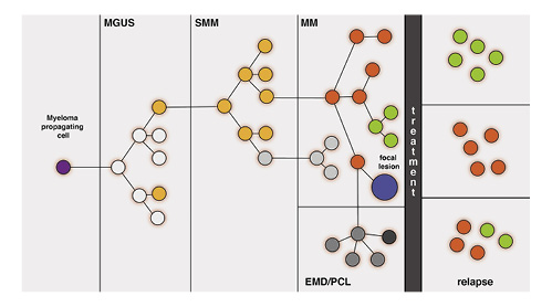 Multiple Myeloma: Molecular Pathogenesis and Disease Evolution ...