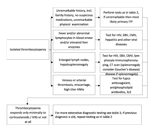 Expert Report on Immune Thrombocytopenia: Current Diagnostics and ...