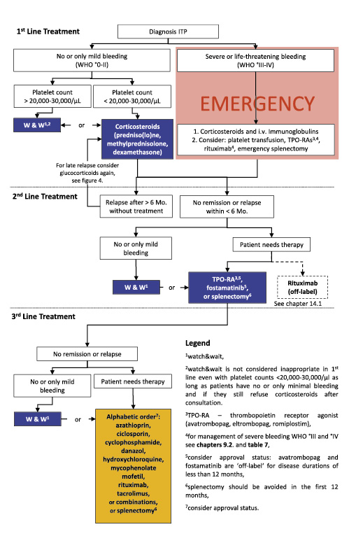 Expert Report on Immune Thrombocytopenia: Current Diagnostics and ...