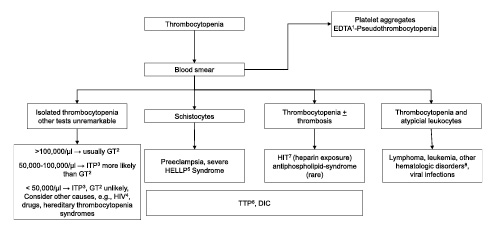 Expert Report on Immune Thrombocytopenia: Current Diagnostics and ...