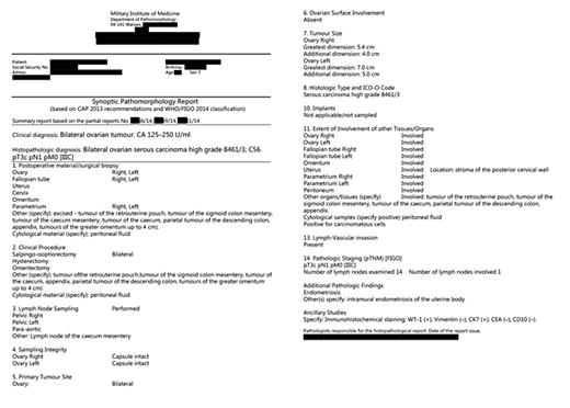 Functional Assessment of Synoptic Pathology Reporting for Ovarian ...