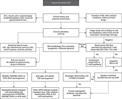 The Diagnostic Work-Up of Hypereosinophilia | Pathobiology | Karger ...