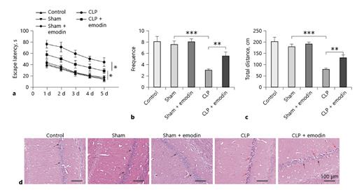 Emodin Promotes Autophagy and Prevents Apoptosis in Sepsis-Associated ...