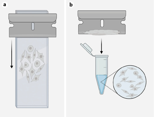 A Comparison of Tissue Dissection Techniques for Diagnostic, Prognostic ...