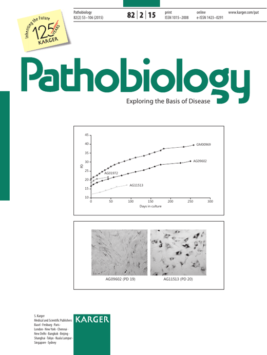 Histopathological Study of a Mummified Eye and Optic Nerve from a ...