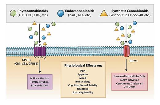 Therapeutic Potential of Cannabis, Cannabidiol, and Cannabinoid-Based ...