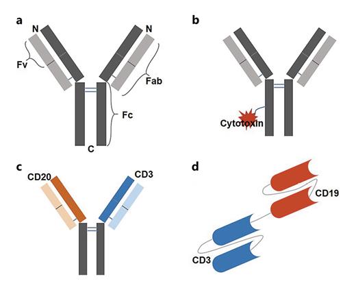 Antibody and Cellular-Based Therapies for Pediatric Acute Lymphoblastic ...