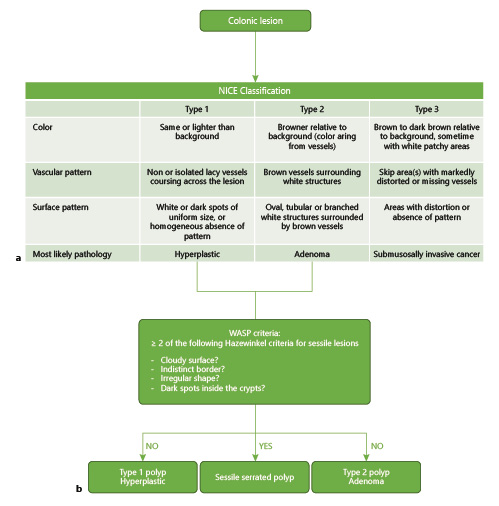 Advanced Imaging in Gastrointestinal Endoscopy: A Literature Review of ...
