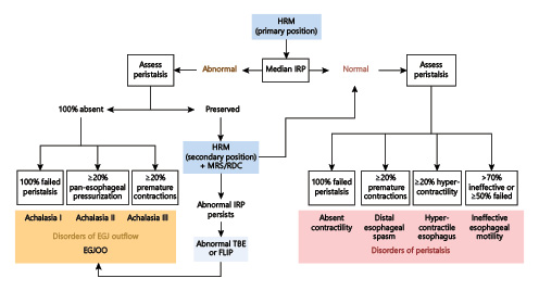 Current Approach to Dysphagia: A Review Focusing on Esophageal Motility ...