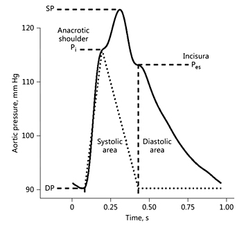 Large Artery Stiffness Assessment Using SphygmoCor Technology | Pulse ...