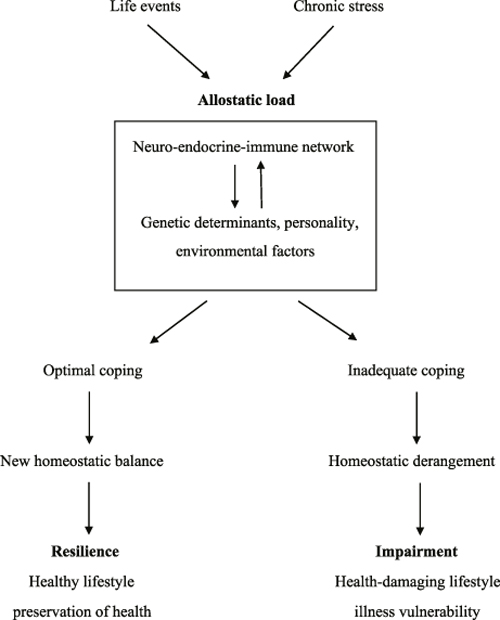 Allostatic Load and Endocrine Disorders | Psychotherapy and ...