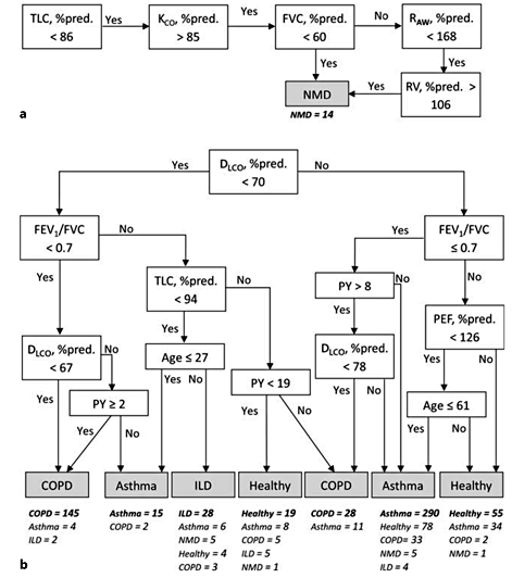 Automated Interpretation of Pulmonary Function Tests in Adults with ...