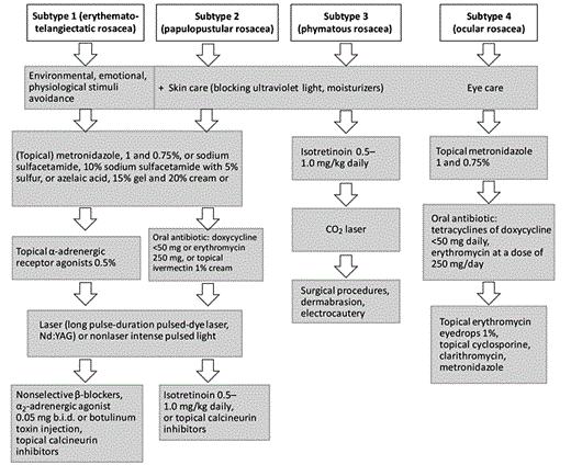 Rosacea Management | Skin Appendage Disorders | Karger Publishers