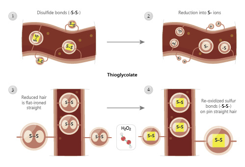 Straight to the Point: What Do We Know So Far on Hair Straightening ...