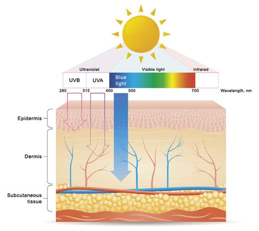 Direct and Indirect Effects of Blue Light Exposure on Skin: A Review of ...