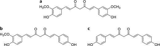 Clinical Studies on Topical Curcumin | Skin Pharmacology and Physiology ...