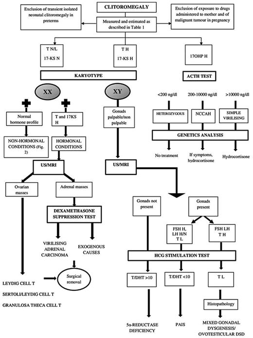 Clitoromegaly in Childhood and Adolescence: Behind One Clinical Sign, a ...