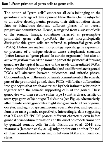 Development of Ovaries and Sex Change in Fish: Bringing Potential into ...
