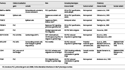 Factors within the Developing Embryo and Ovarian Microenvironment That ...