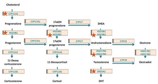 The Genetic and Environmental Factors Underlying Hypospadias | Sexual ...