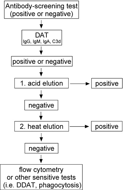 Clinically and/or Serologically Misleading Findings Surrounding Immune ...