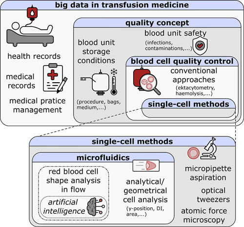 Big Data in Transfusion Medicine and Artificial Intelligence Analysis ...