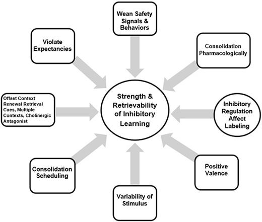 Optimizing Exposure Therapy for Anxiety Disorders: An Inhibitory ...