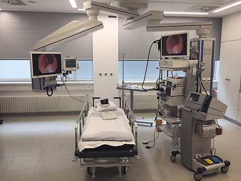 Optimizing Screening Colonoscopy: Strategies and Alternatives ...