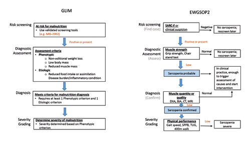 Disease-Related Malnutrition and Sarcopenia as Determinants of Clinical Outcome | Visceral ...