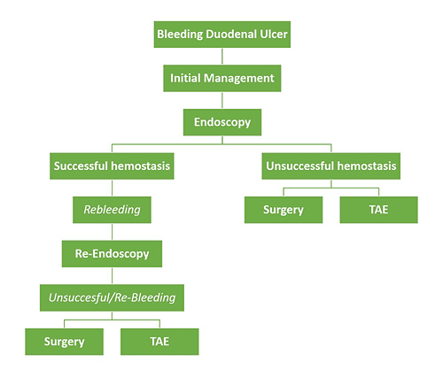 Bleeding Duodenal Ulcer: Strategies in High-Risk Ulcers | Visceral ...